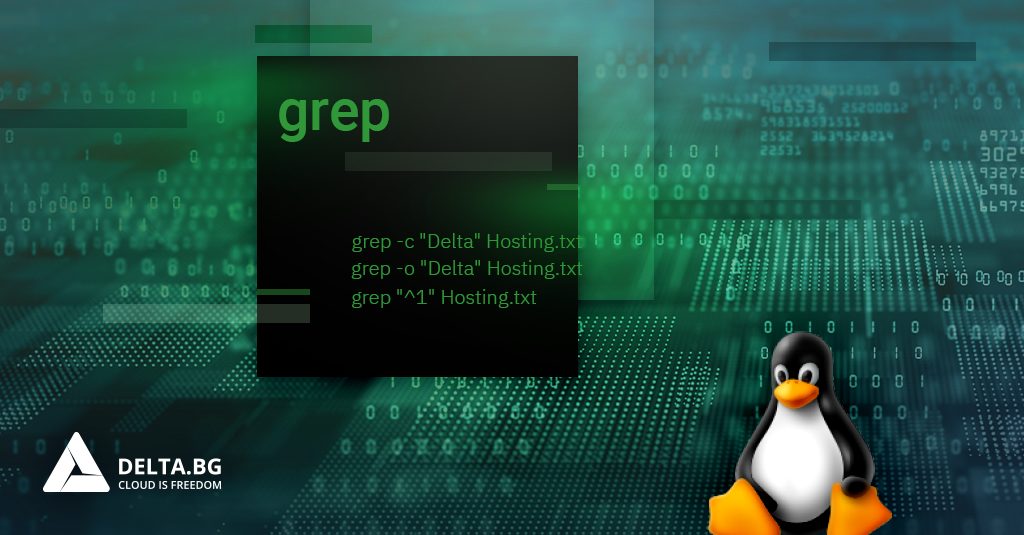 Широката употреба на командата grep в Linux | Блогът на Delta.BG