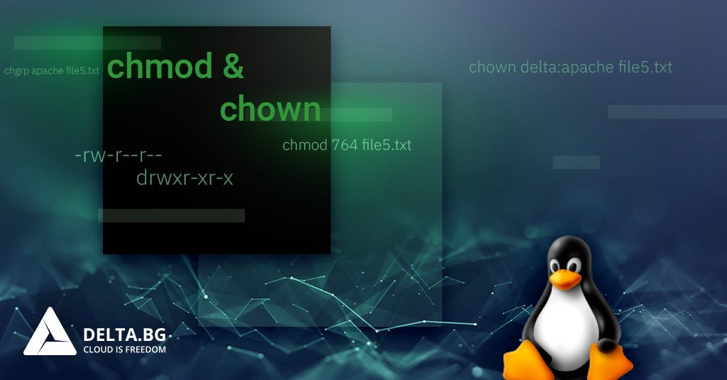 Как да използвате командите chmod и chown в Linux? | Блогът на Delta.BG